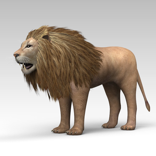 lion 3d 3ds