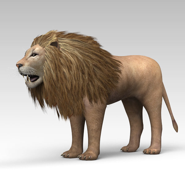 lion 3d 3ds