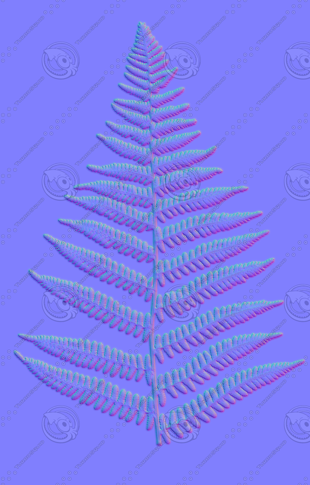 3d bracken fern