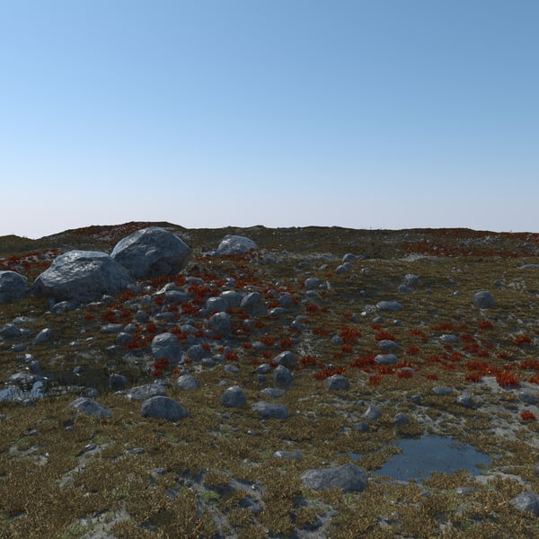 3d model tundra landscape