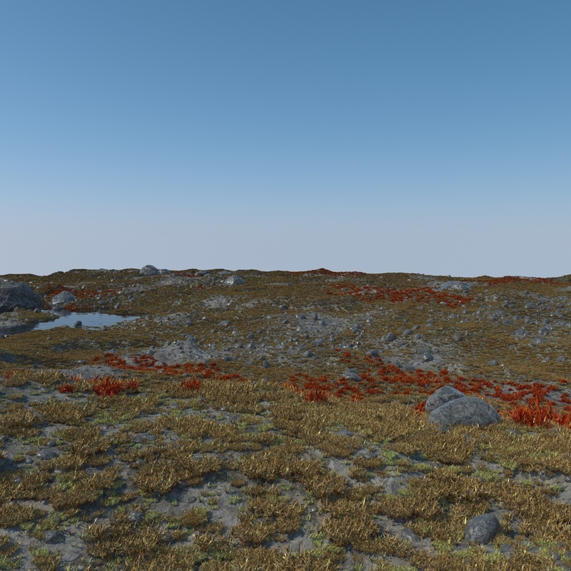 3d model tundra landscape