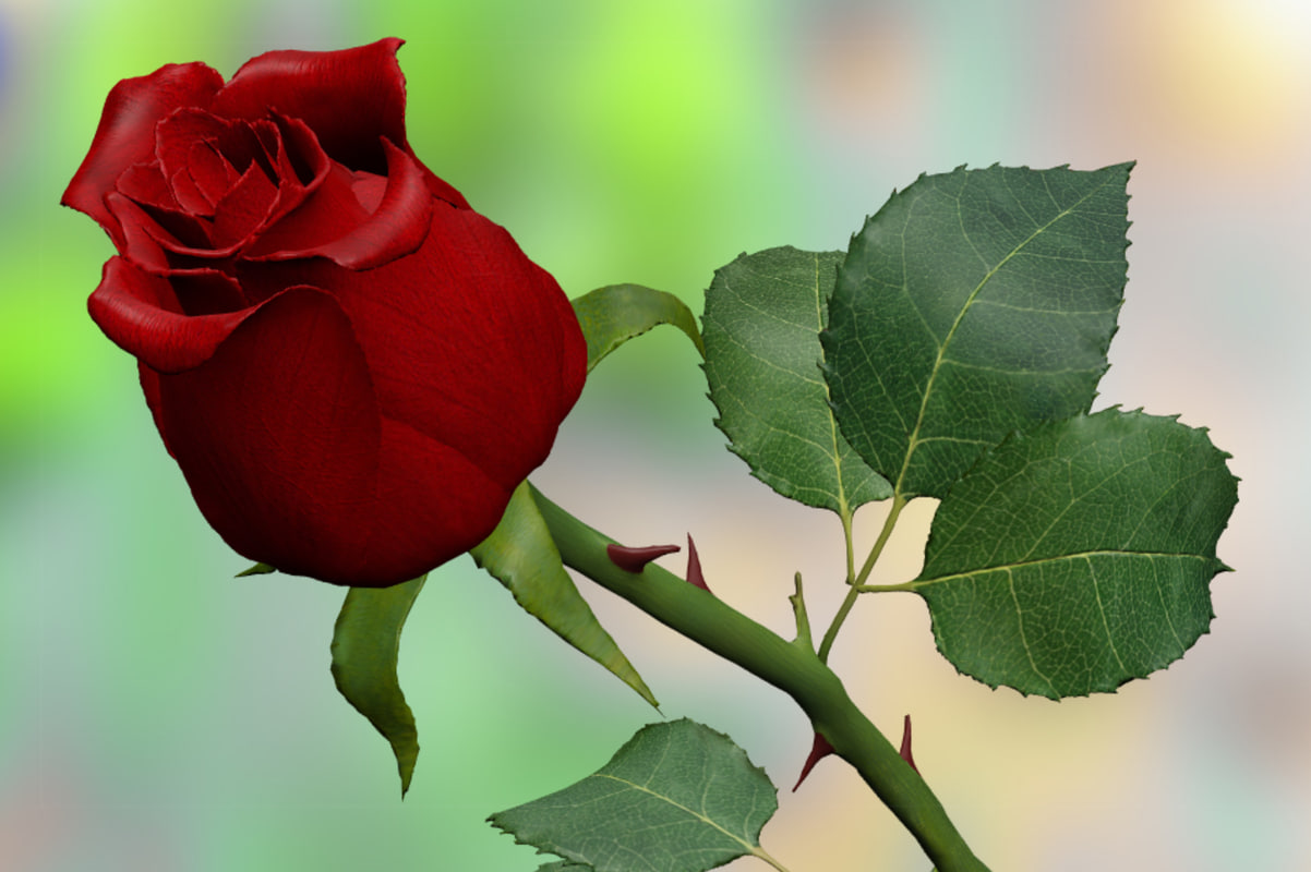 3d c4d red rose