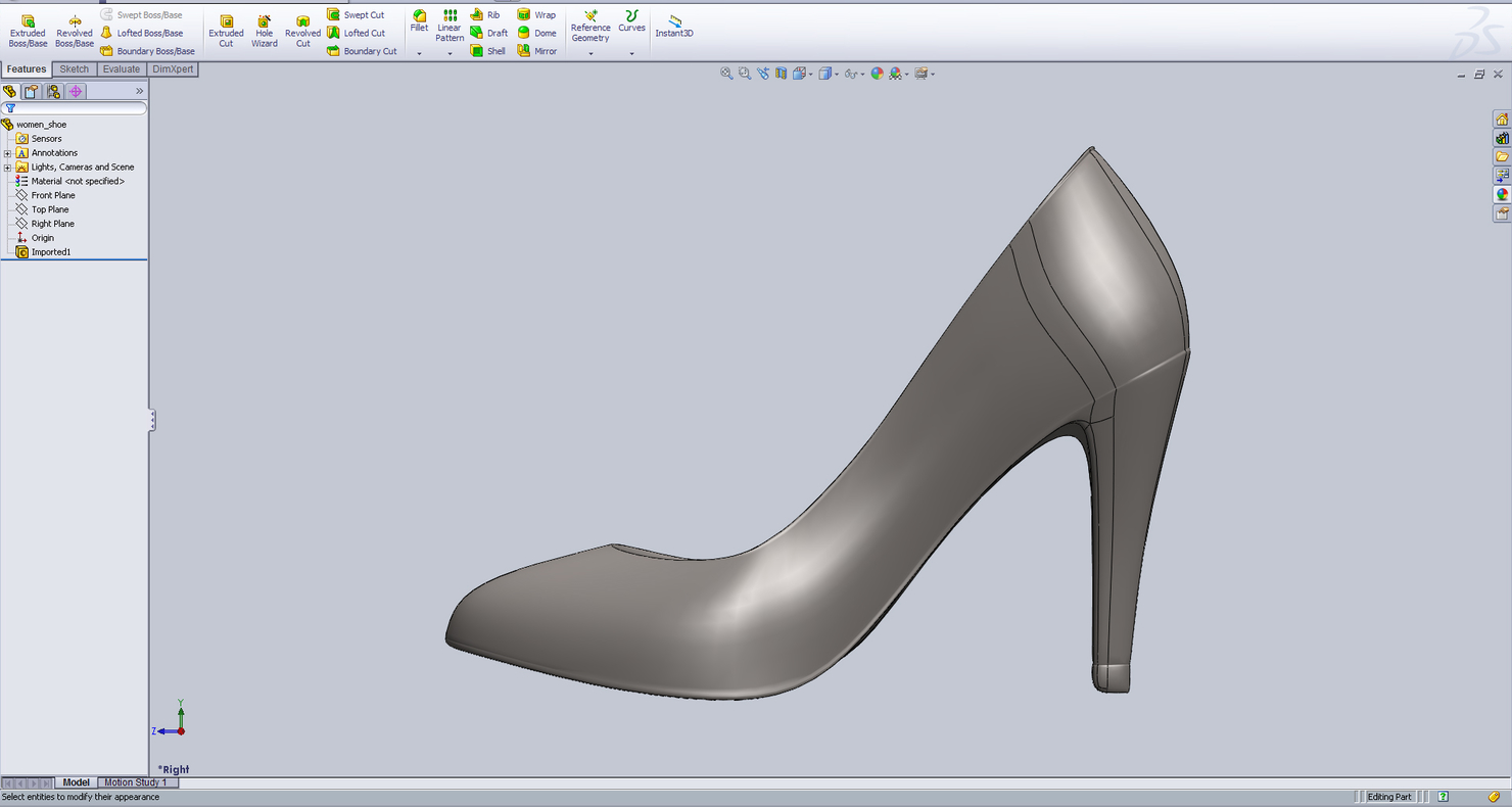 3d igs women shoe solidworks model