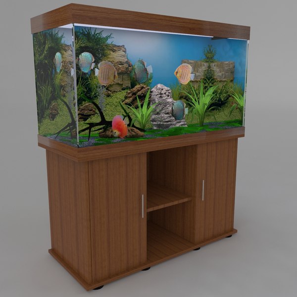 3D Aquarium Models | TurboSquid