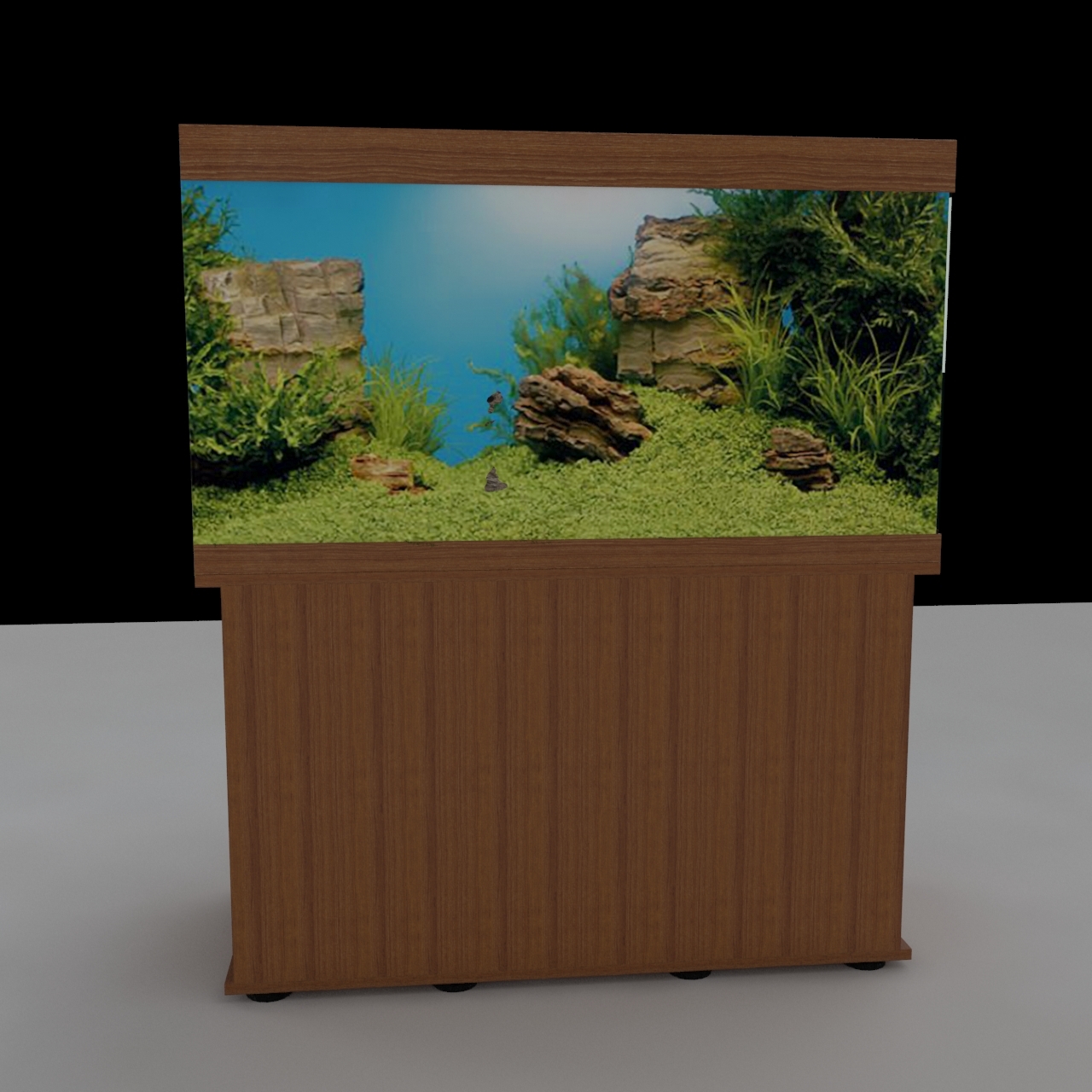 fishtank discus 3d max