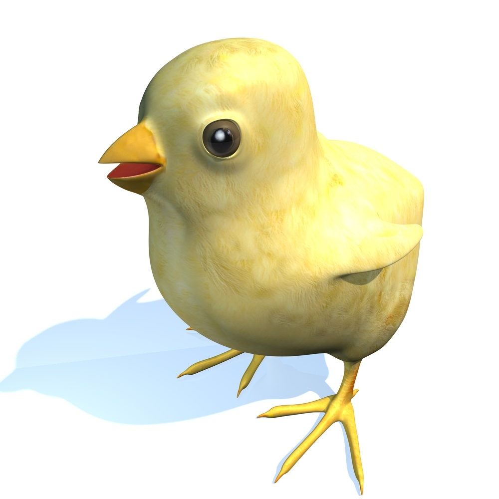 chick 3d model