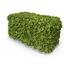 3d rectangular box hedge model