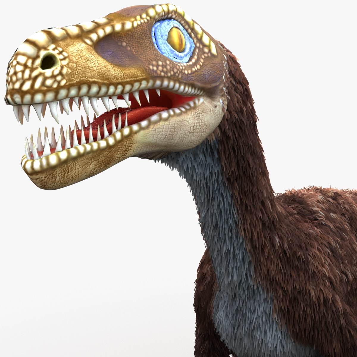 3d dromaeosaurus model