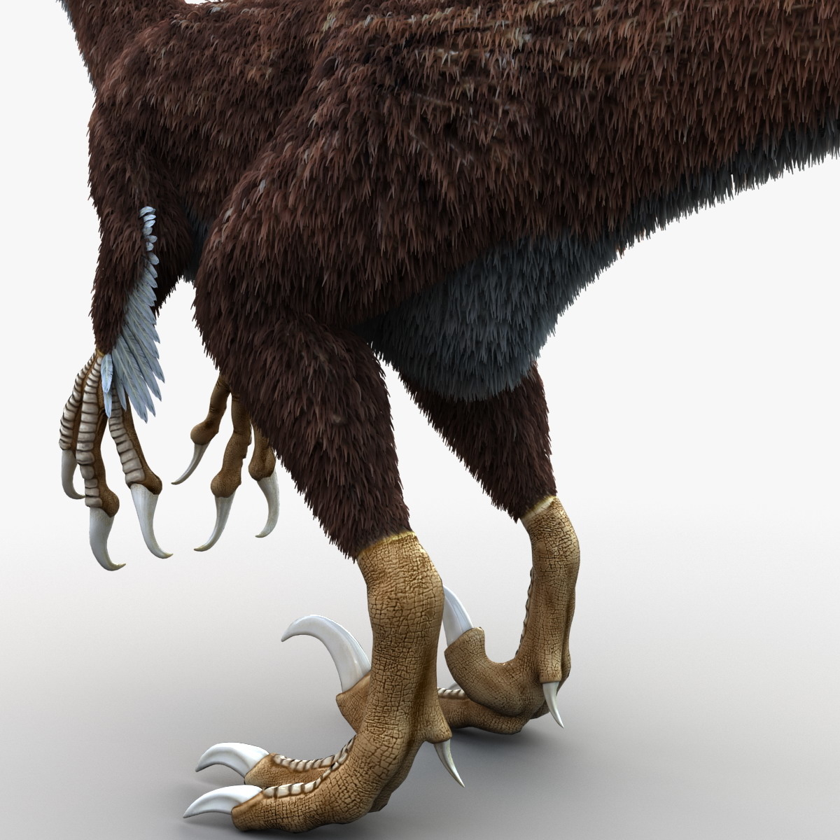 3d dromaeosaurus model