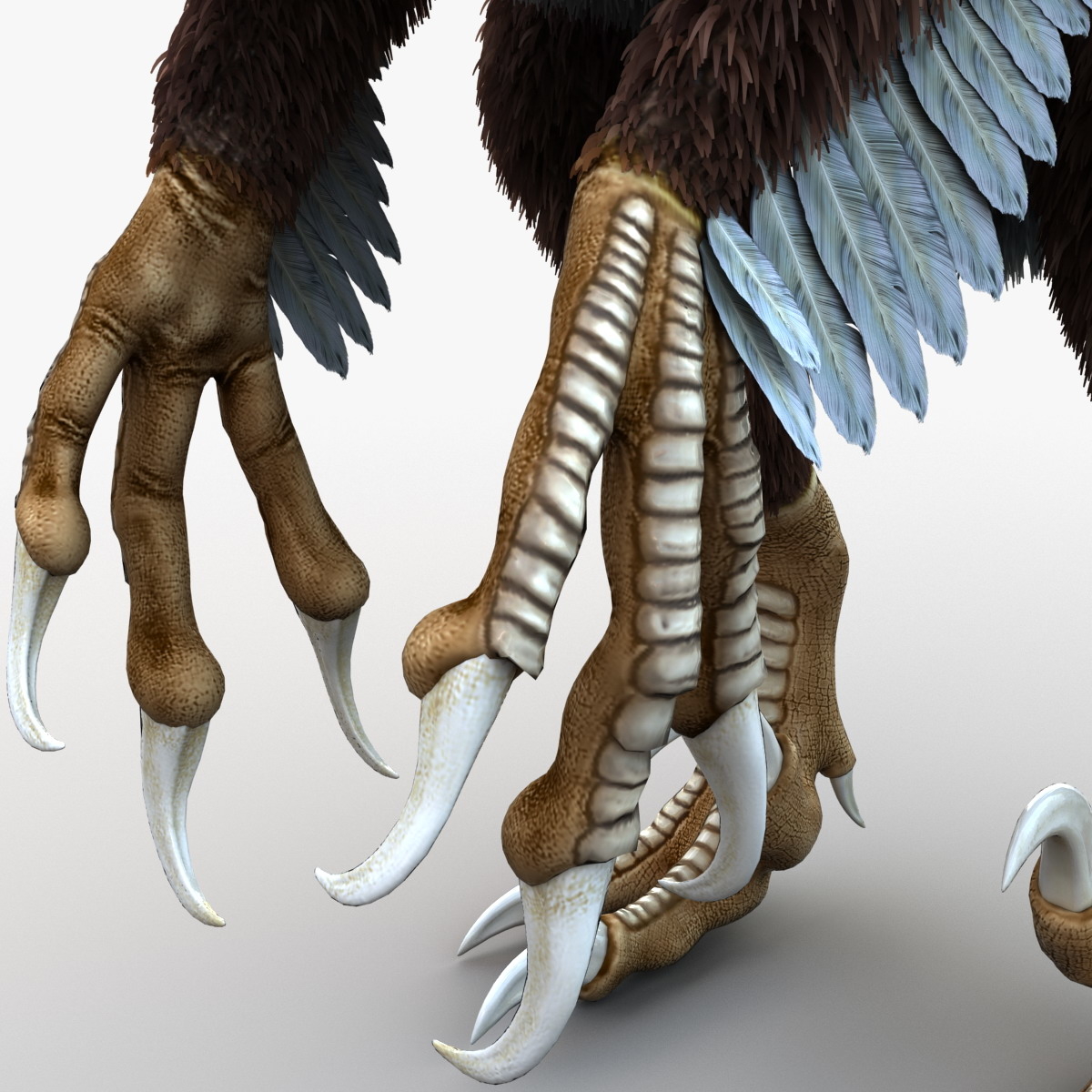 3d dromaeosaurus model