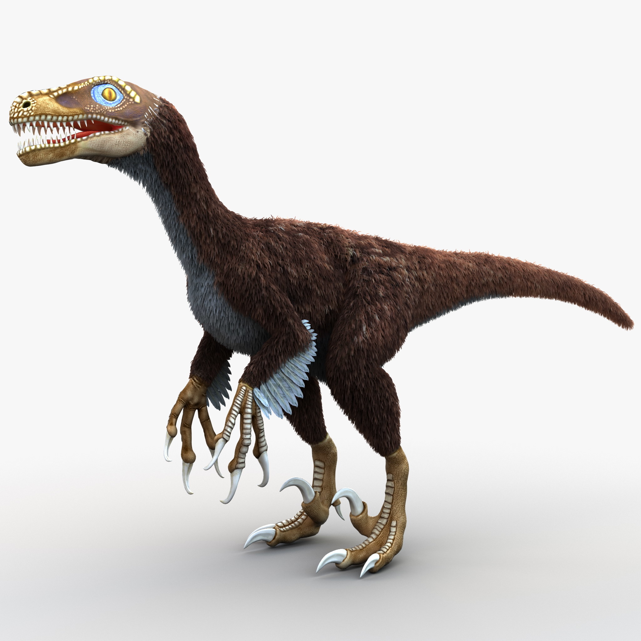 3d dromaeosaurus model