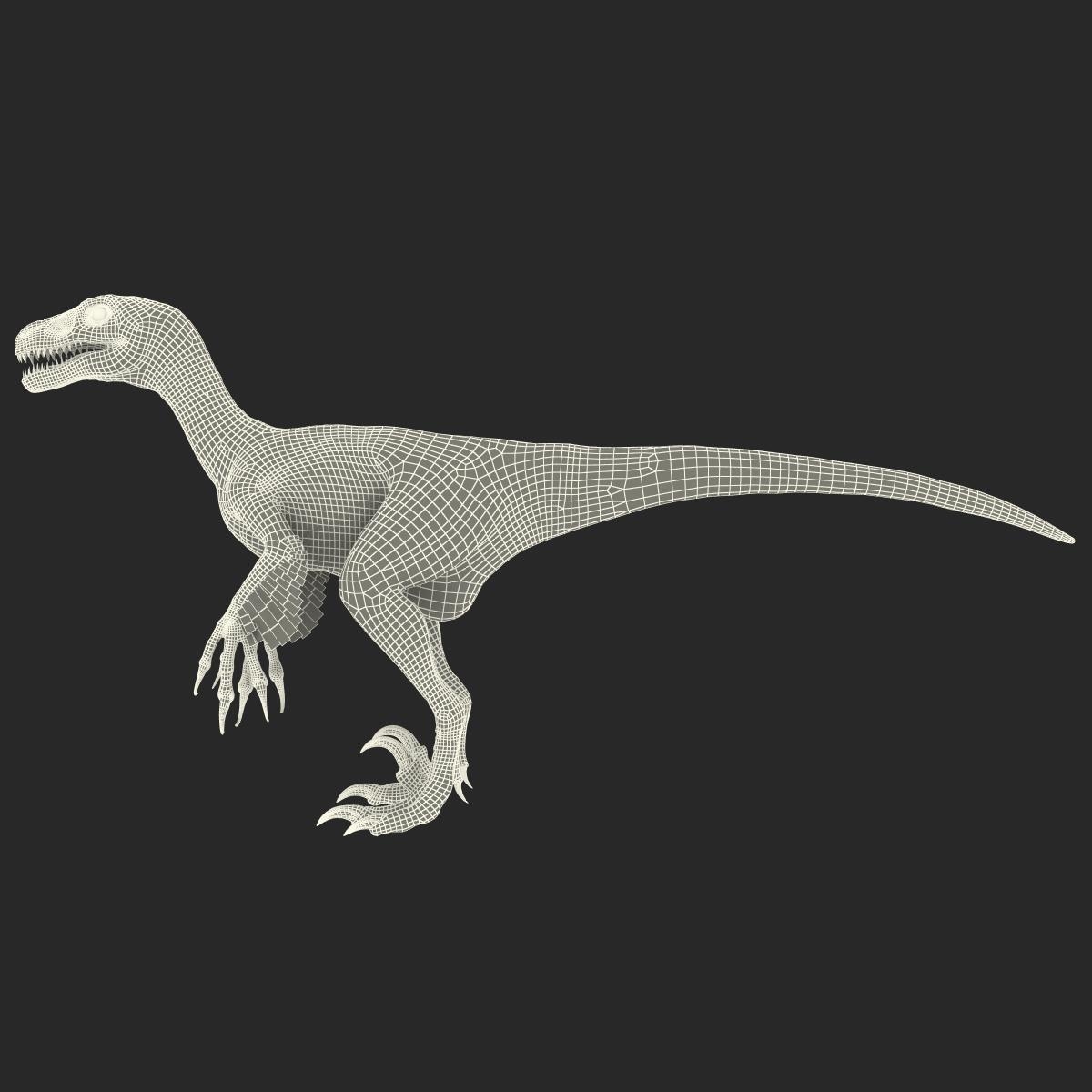 3d dromaeosaurus model