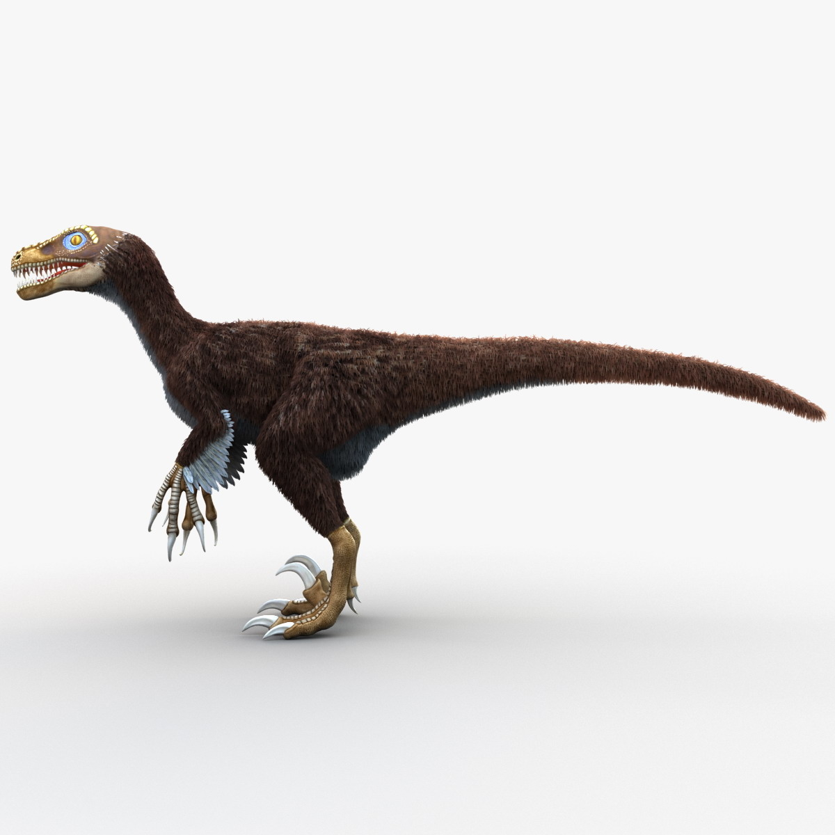3d dromaeosaurus model