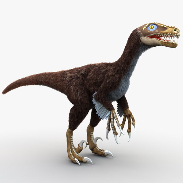 3d dromaeosaurus model