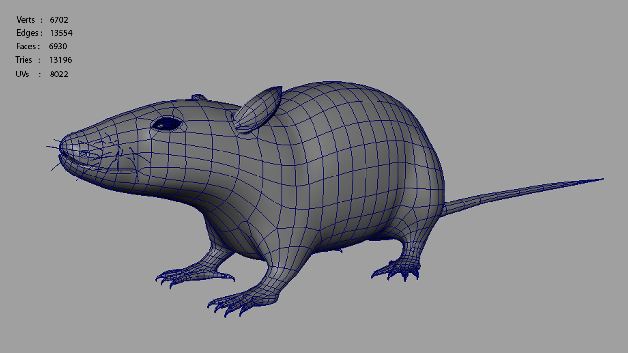 maya rat rodents black