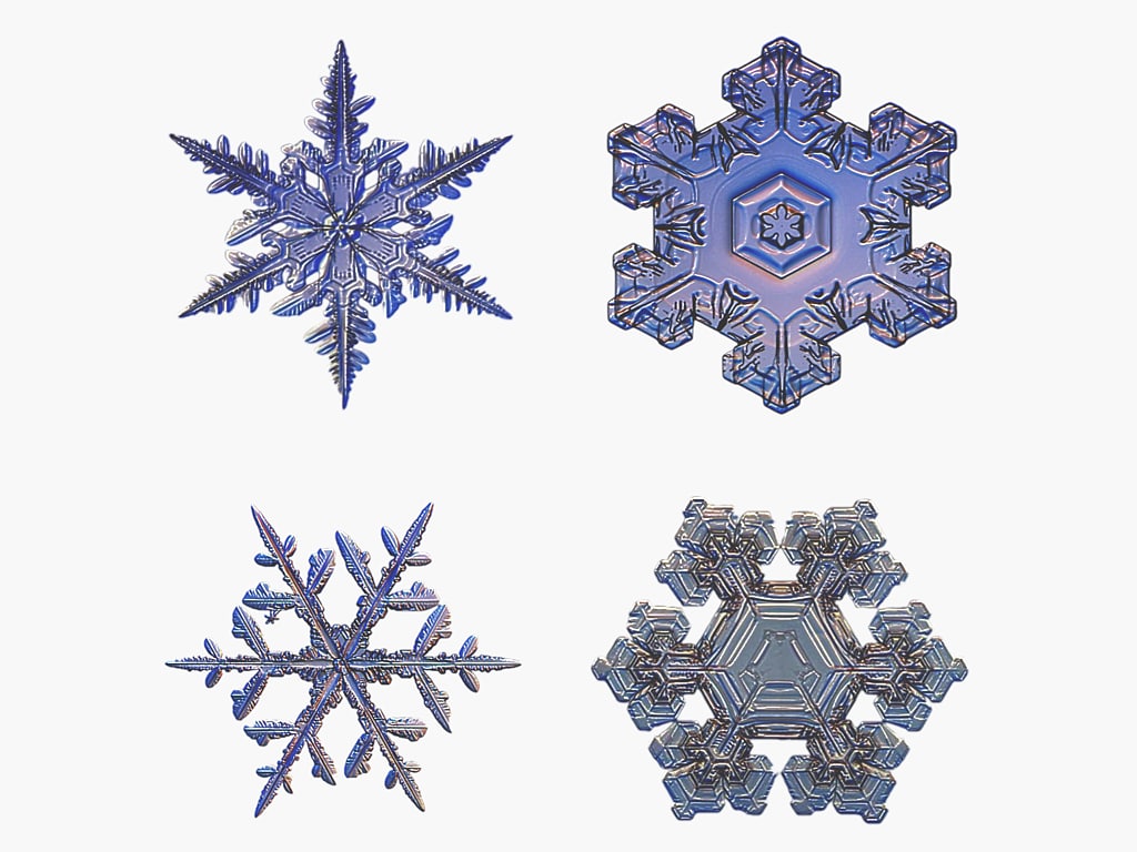 snow snowflake flakes 3d model