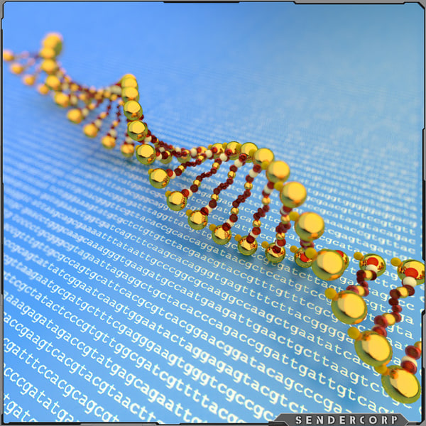 dna double helix 3d model