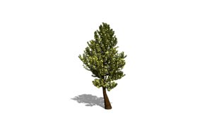Free Blender Tree Models | TurboSquid
