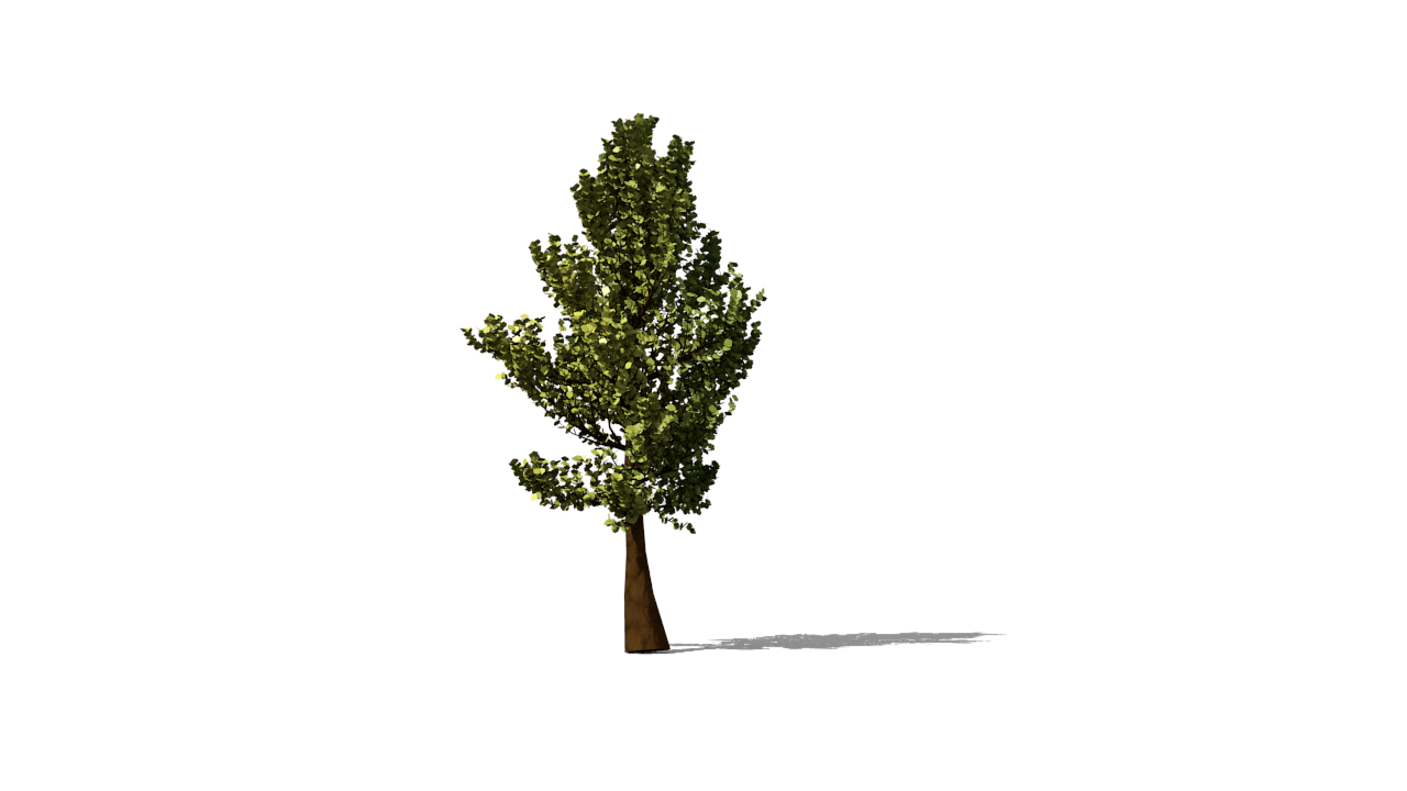 free obj model tree