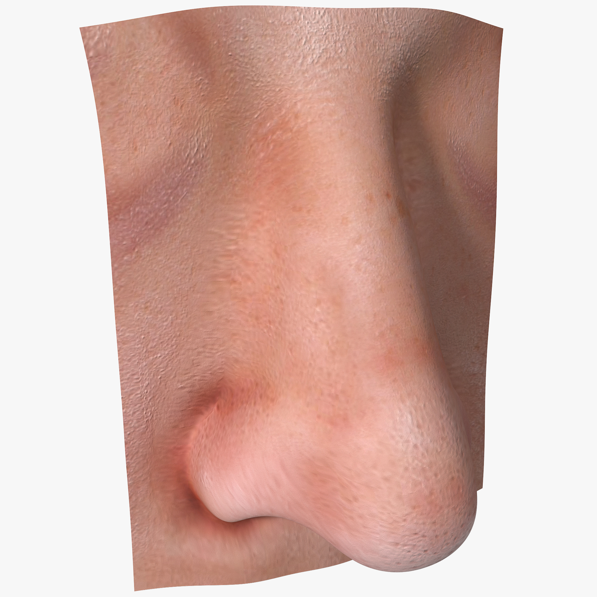 3d nose model