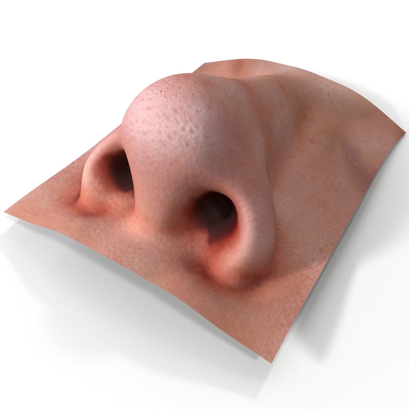 3d nose model
