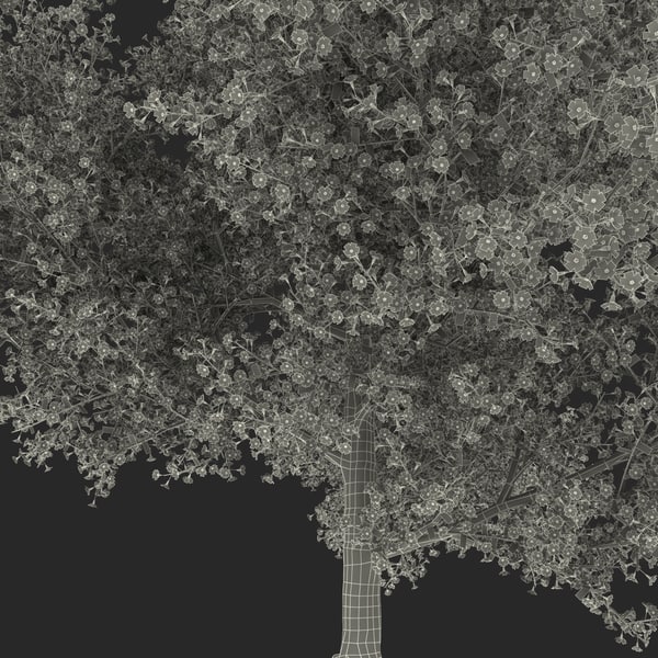 cherry tree 3d c4d