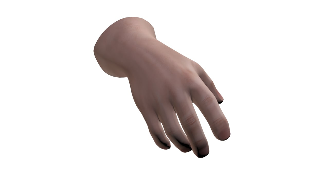 3d hand rigged model