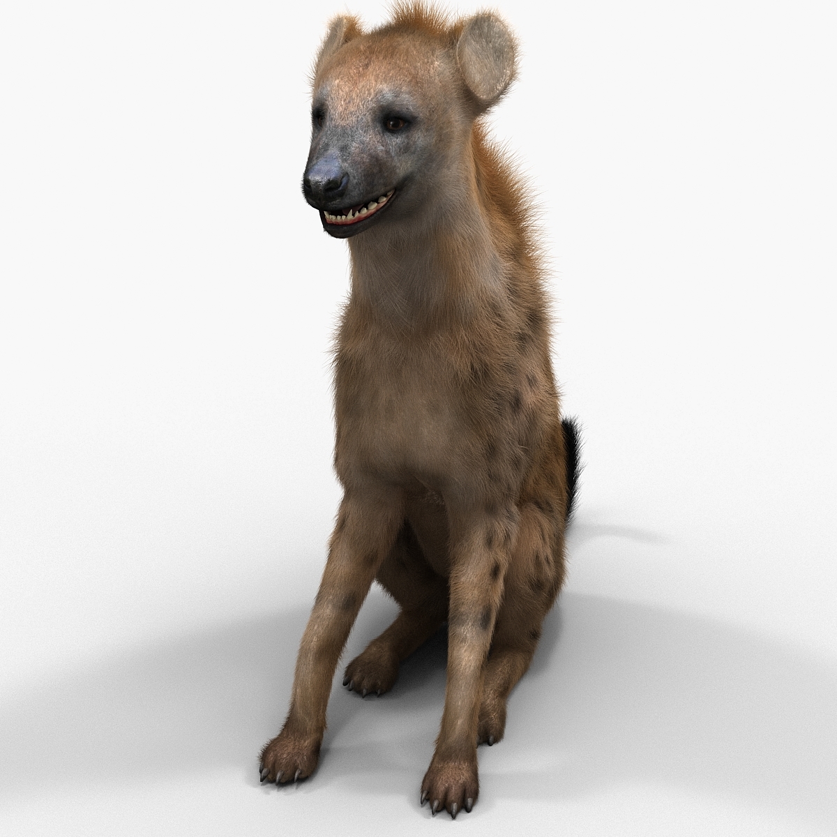 3d hyena pose 3 fur model