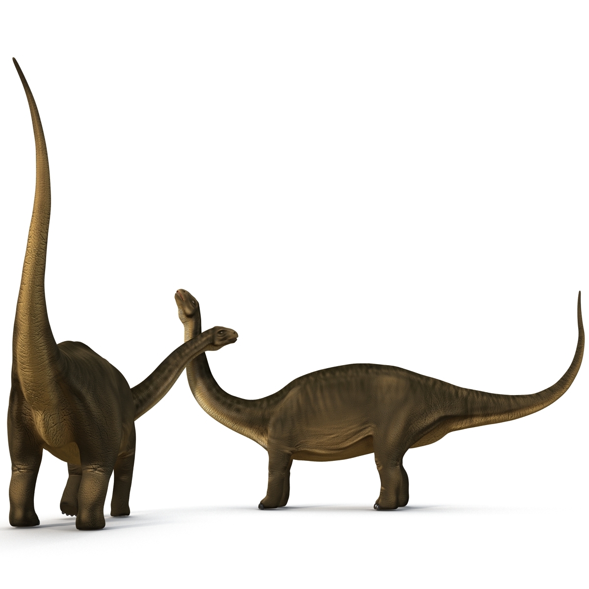 max brontosaurus pose 2