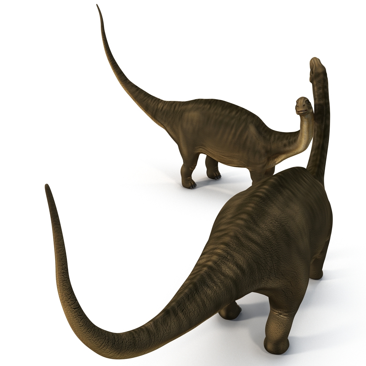 max brontosaurus pose 2