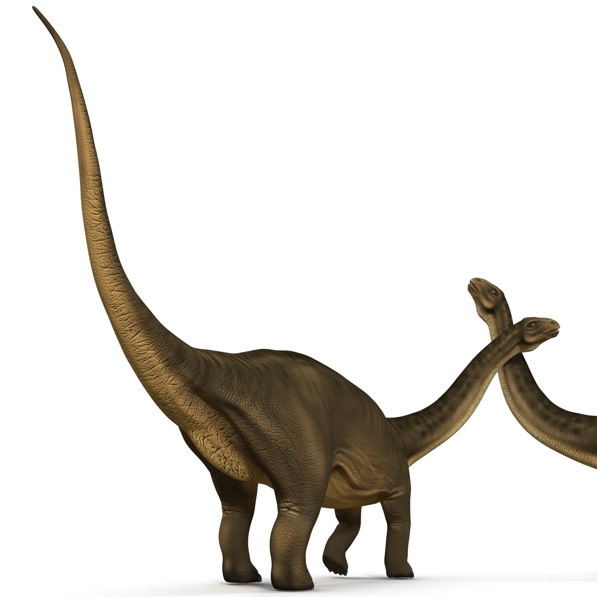 max brontosaurus pose 2