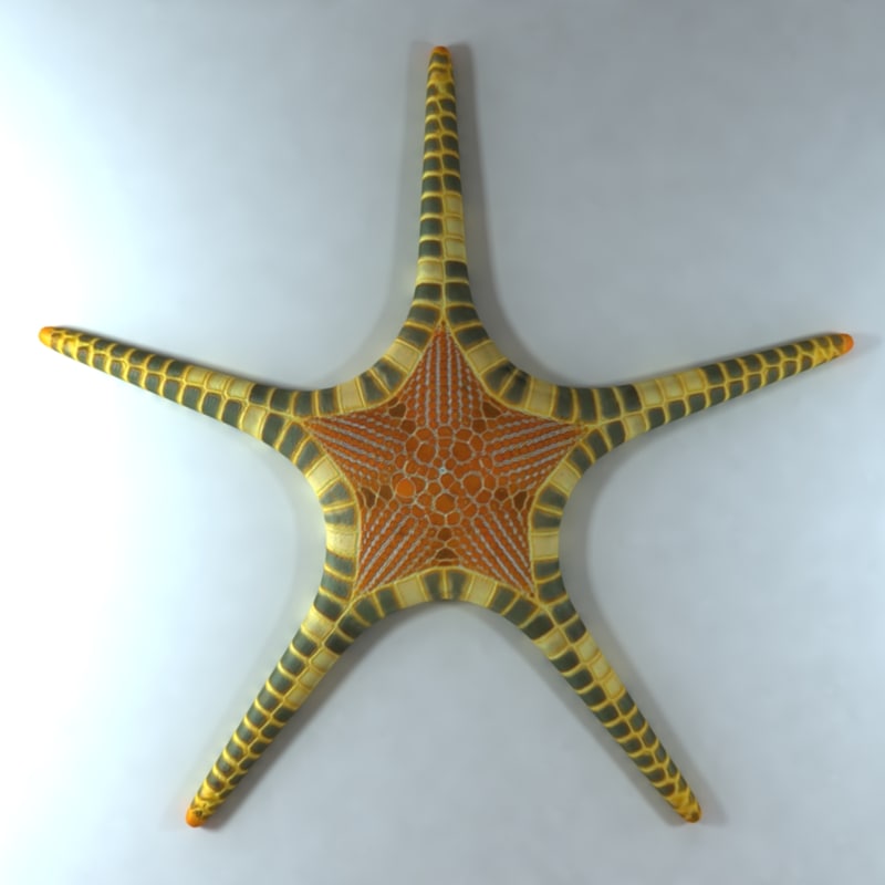 3d mosaic starfish