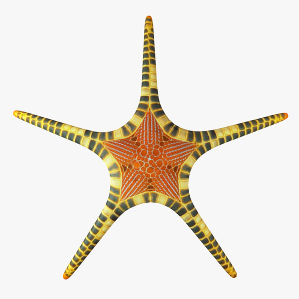 3d mosaic starfish
