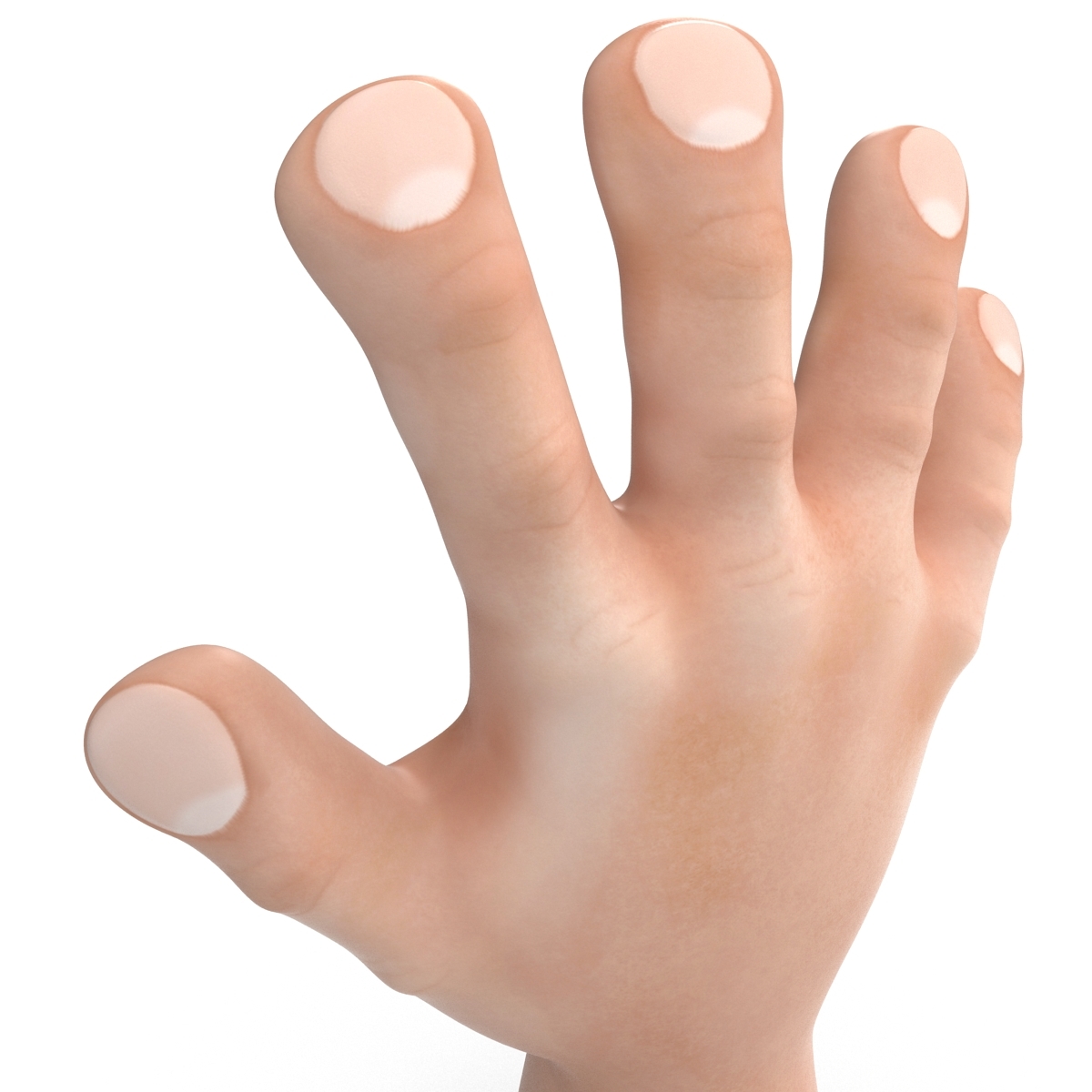 cartoon hand 3d model