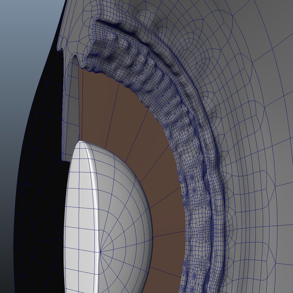 3d model of human eye