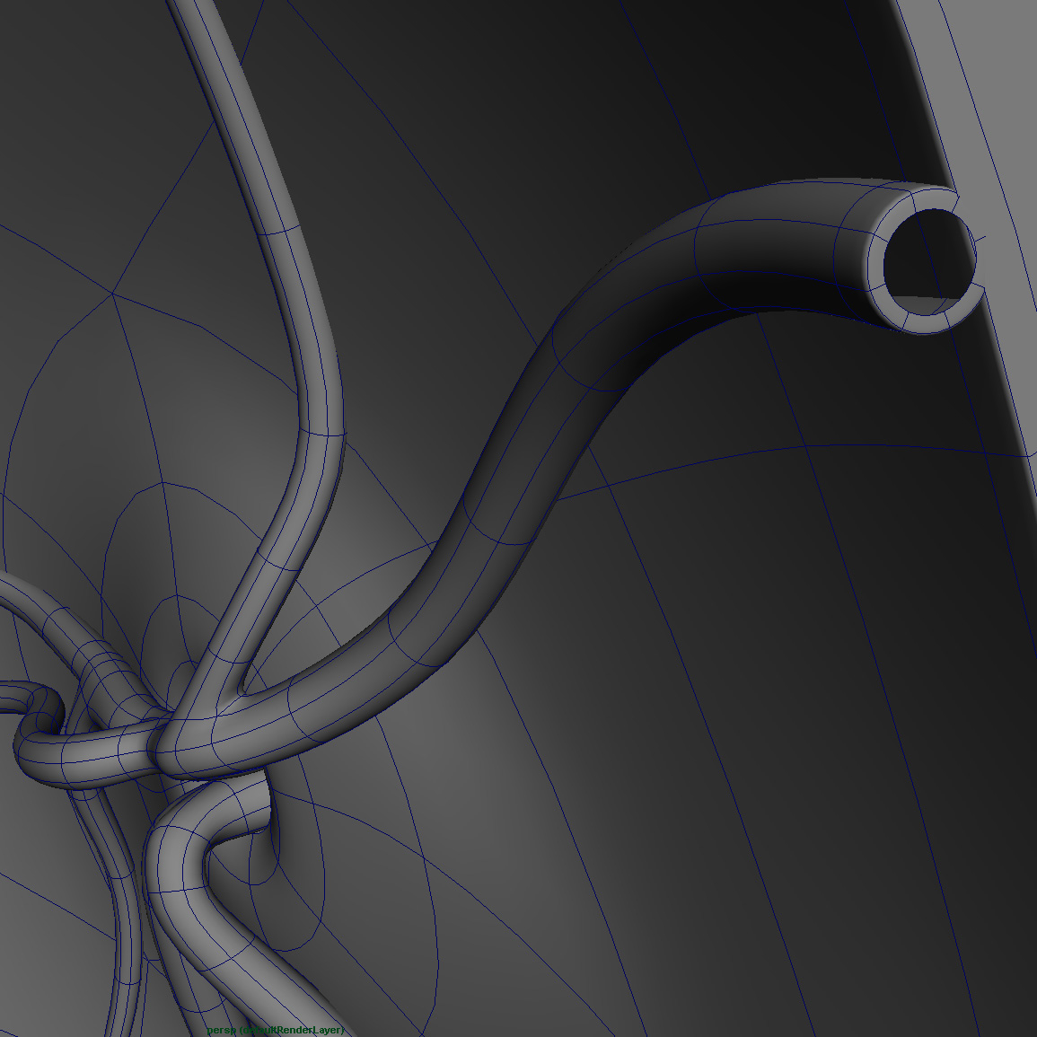 3d model of human eye