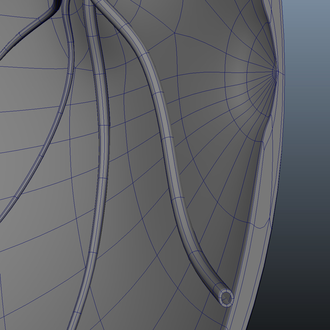 3d model of human eye