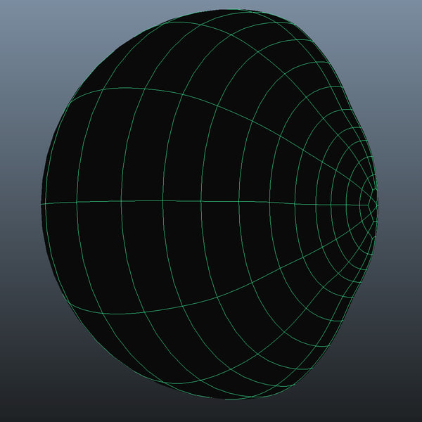 3d model of human eye
