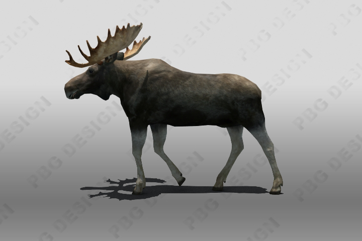 3d moose animations model
