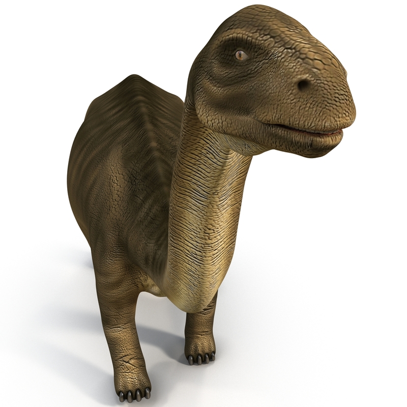brontosaurus rigged 3d model
