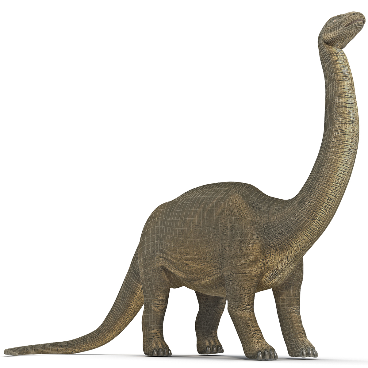 brontosaurus rigged 3d model