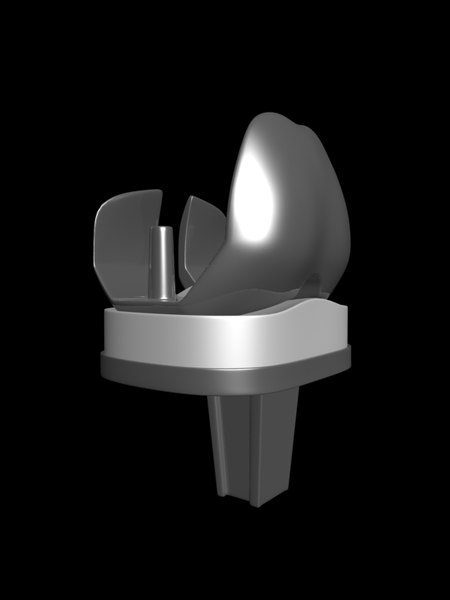 artificial knee replacement 3d model