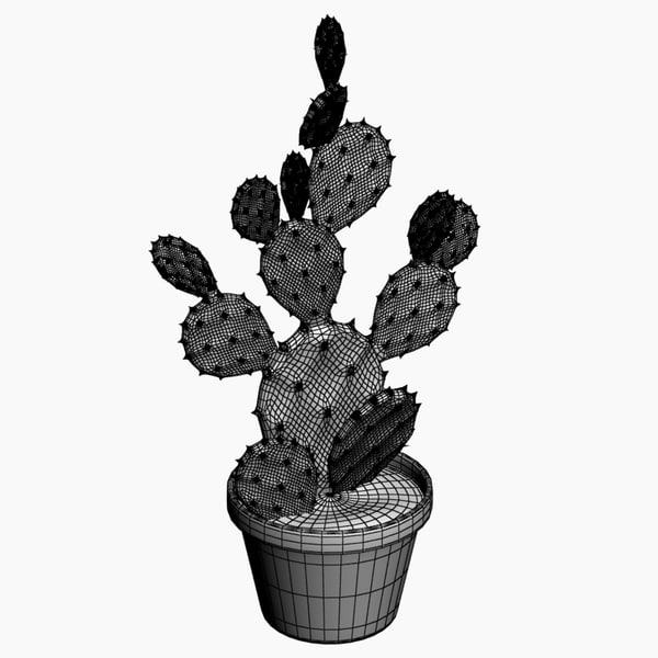 max realistic cactus