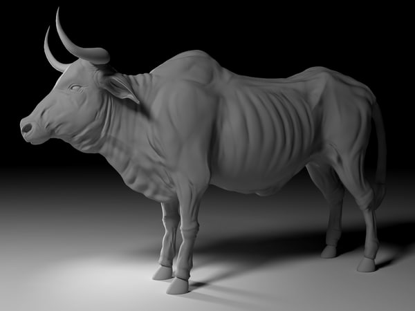 Bull 3D Models for Download | TurboSquid