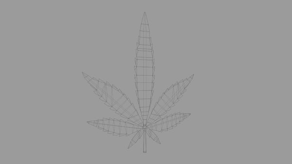 3d cannabis leaf model