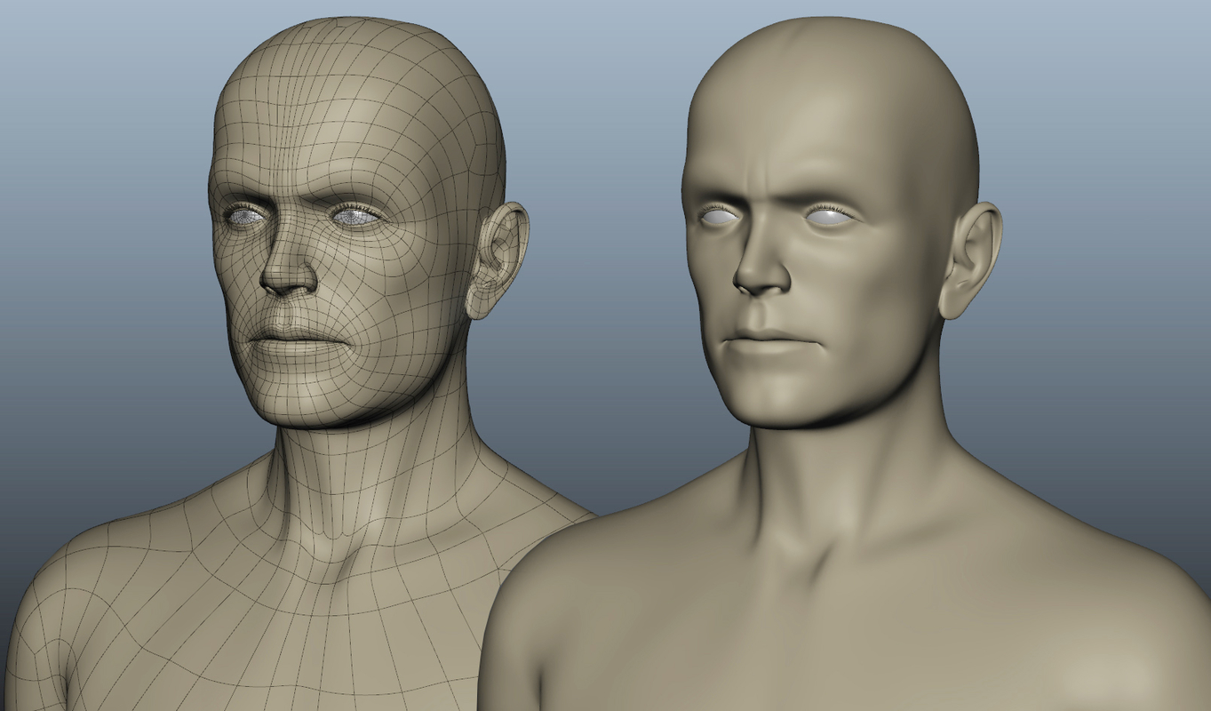 3d human male model