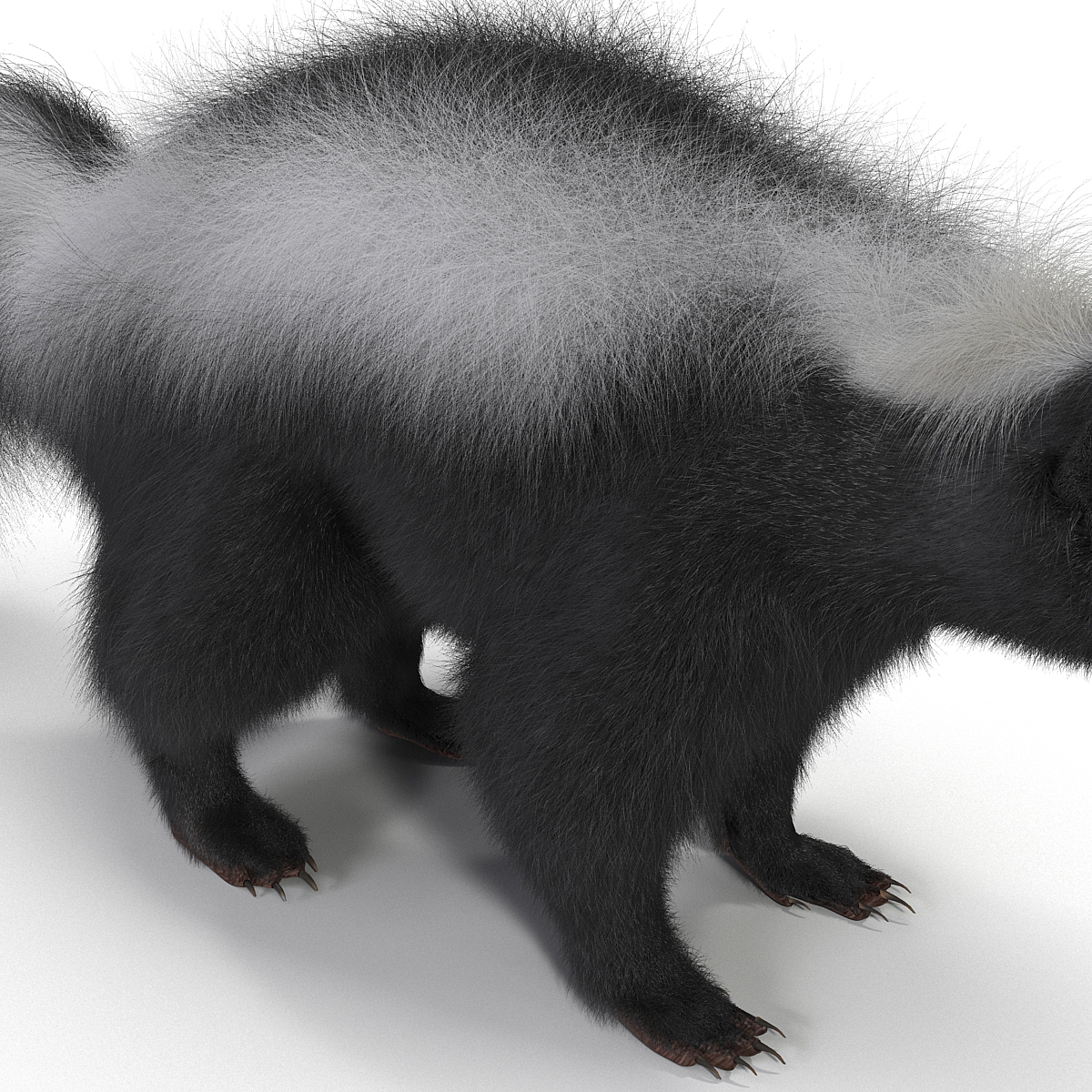 skunk rigged fur 3d max
