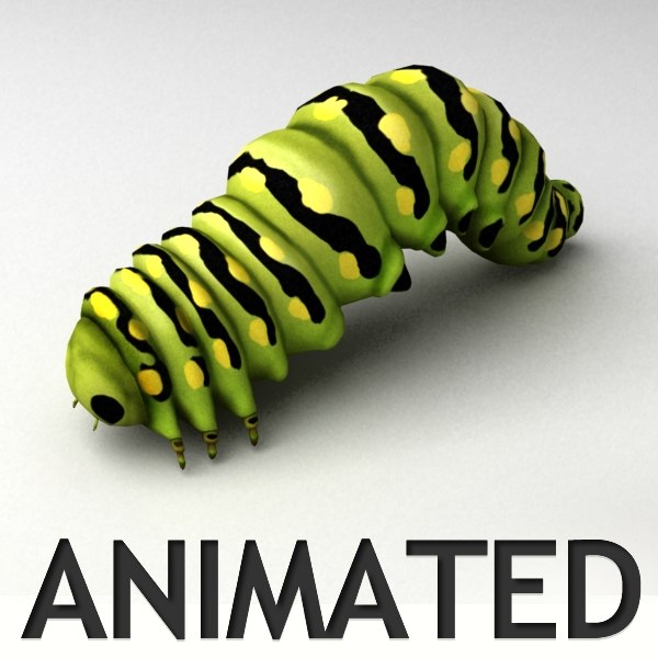 3D Larva Models | TurboSquid