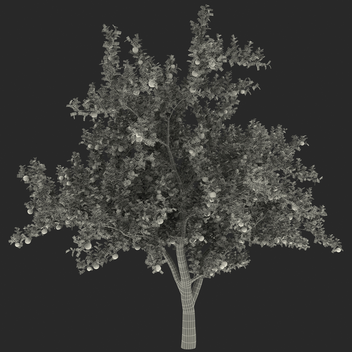 3d apple tree model