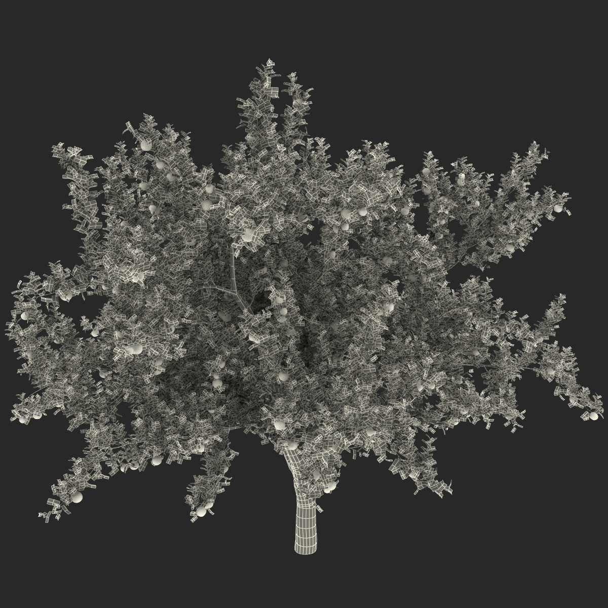 3d apple tree model